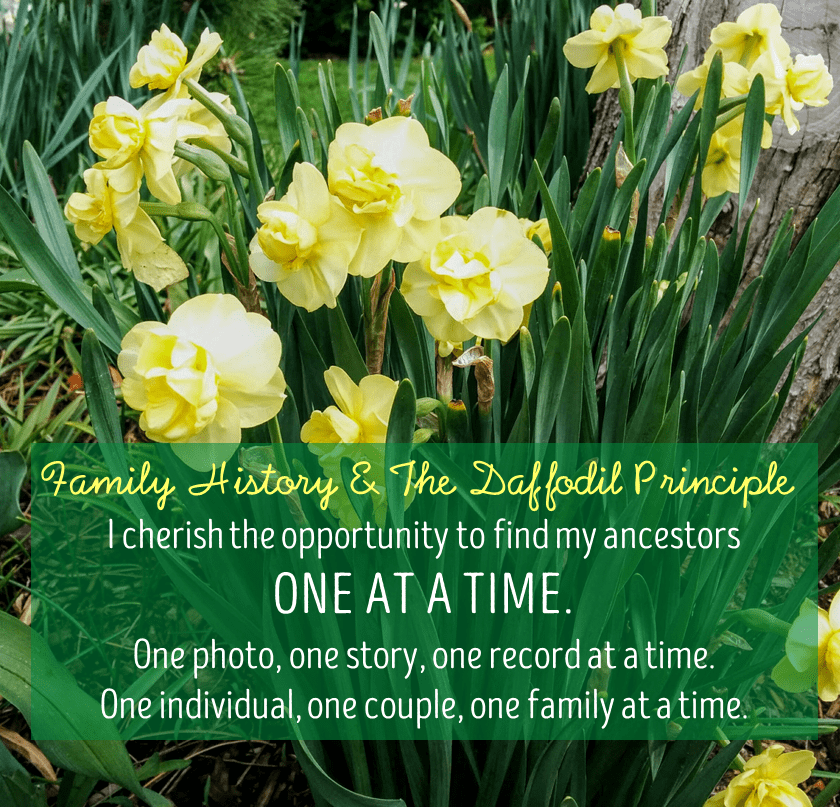 Family History and the Daffodil Principle – Family Locket