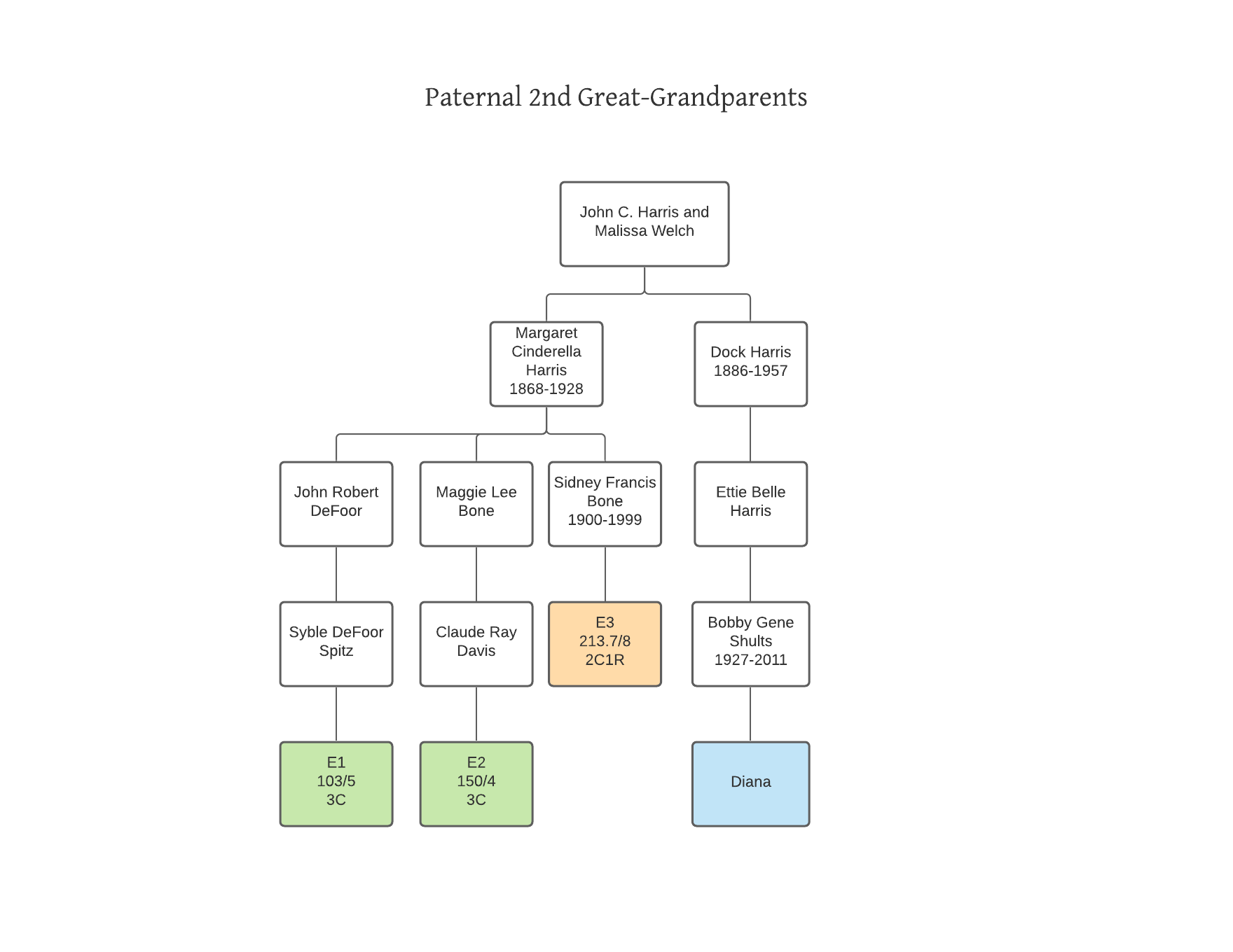 Descendancy Diagram Examples – Family Locket