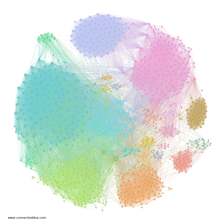 Connected DNA: The Power of Network Graphs – Family Locket