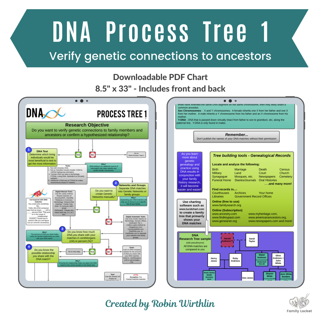 DNA Process Tree 1 Downloadable PDF – Family Locket