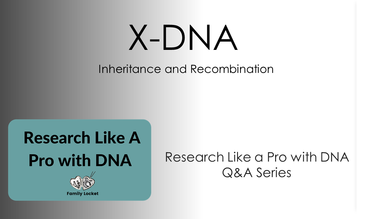 X-DNA Inheritance and Recombination – Family Locket