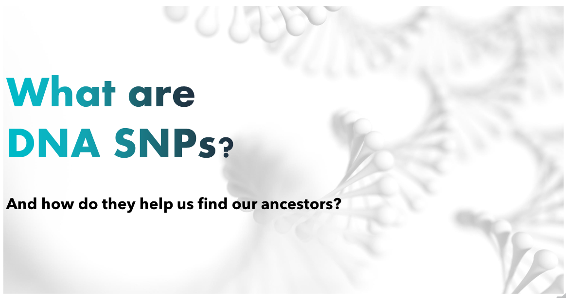 What are DNA SNPs? – Family Locket