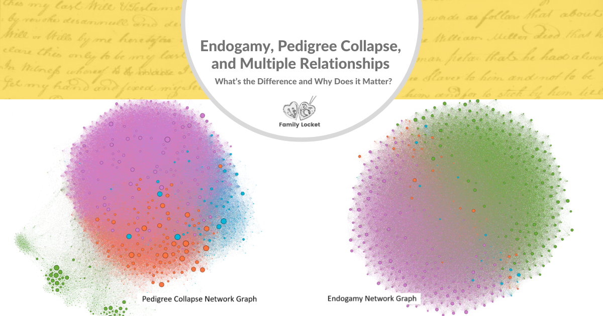 Endogamy, Pedigree Collapse, and Multiple Relationships: What’s the ...