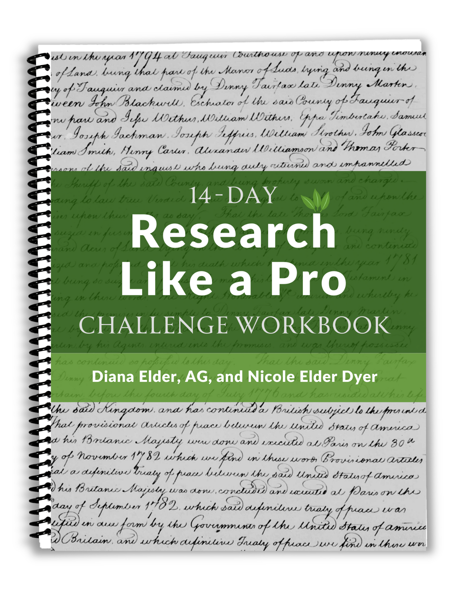 14-Day Research Like a Pro Challenge Workbook – Spiral Bound – Family ...