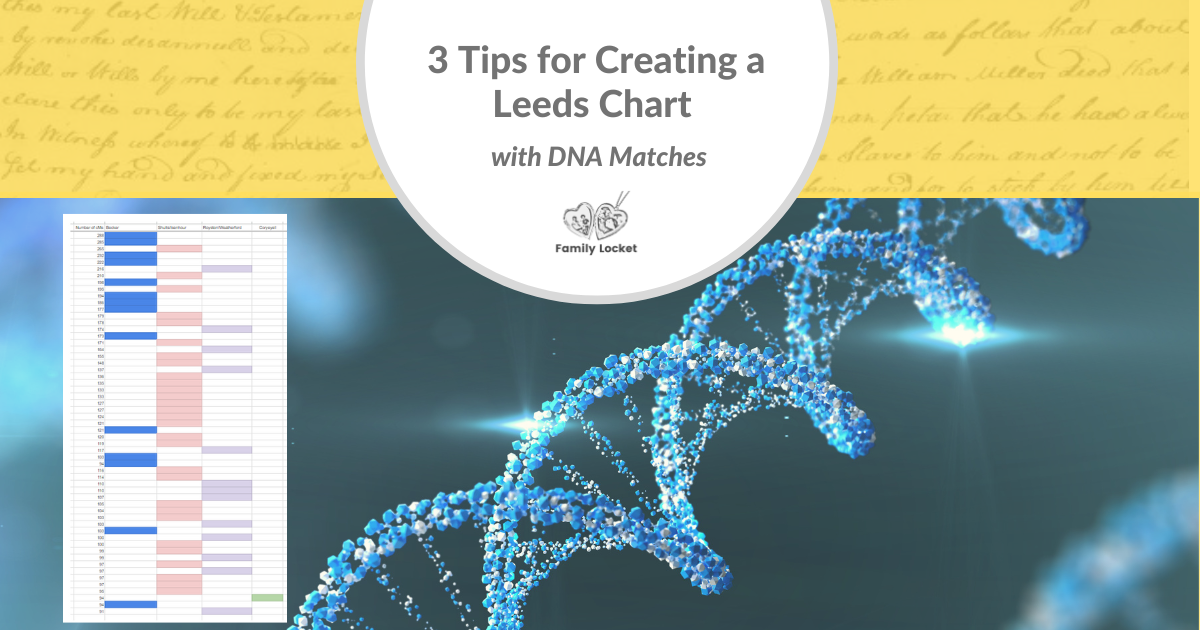 3 Tips on Creating a Leeds Chart with DNA Matches – Family Locket