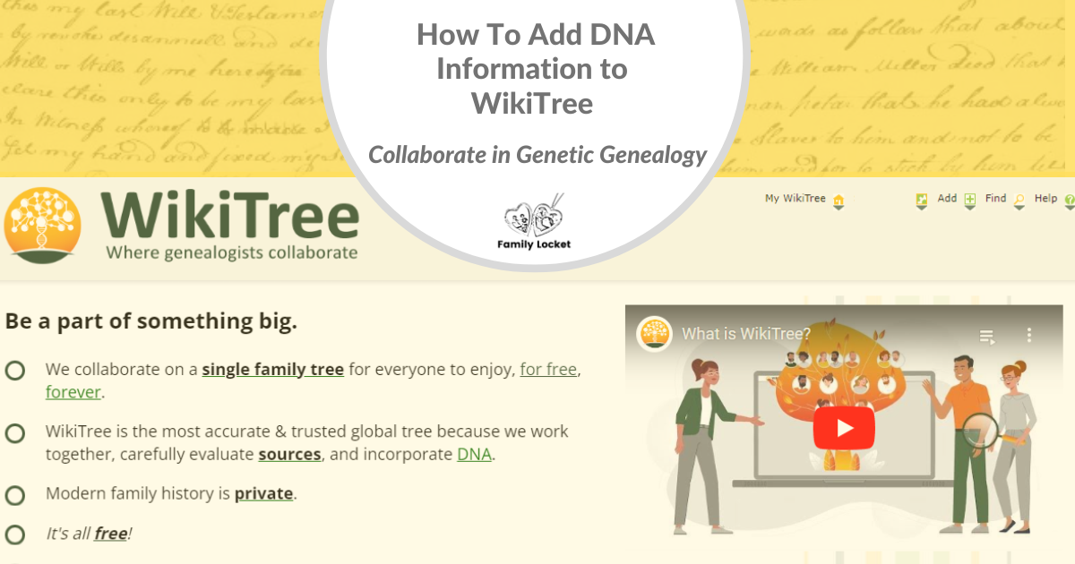 How To Add DNA Information to WikiTree – Family Locket